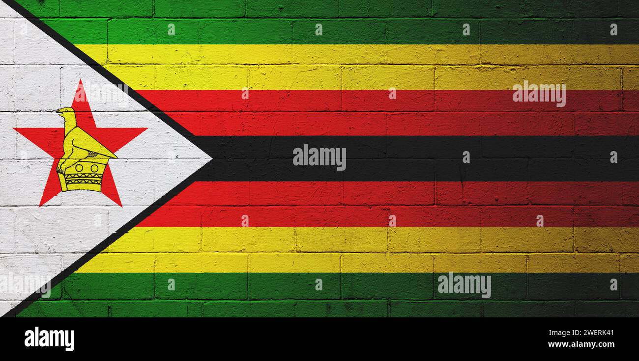 Zimbabwe flag paint hi-res stock photography and images - Alamy