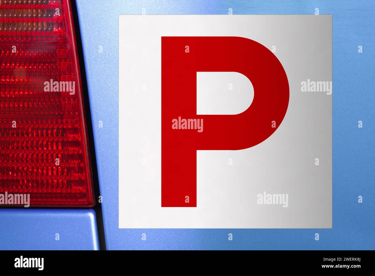 White P Plate sign at the back of a car showing that a probationary ...