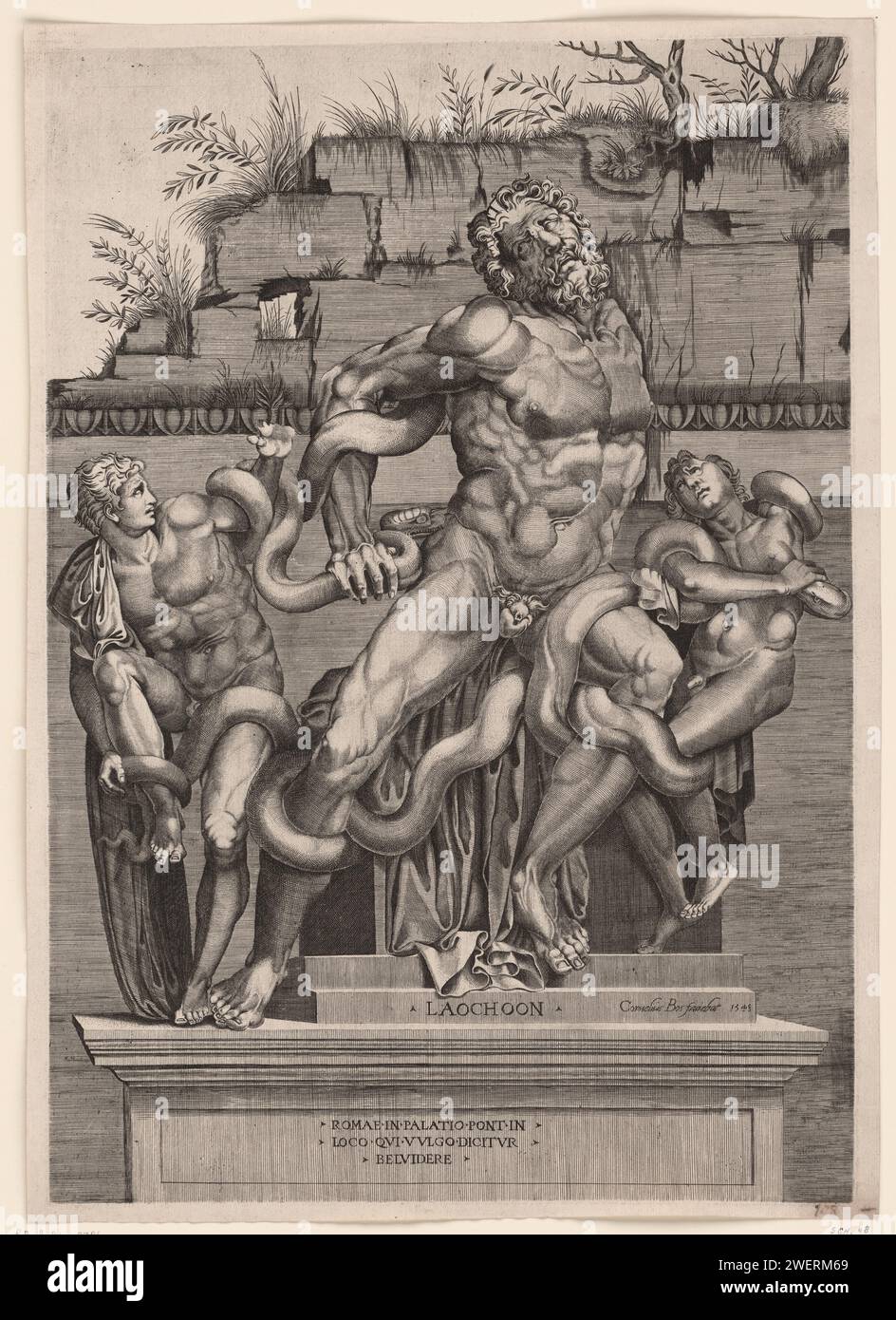 Laocoön and his sons, Cornelis Bos, after Marco Dente, 1548 print Image ...