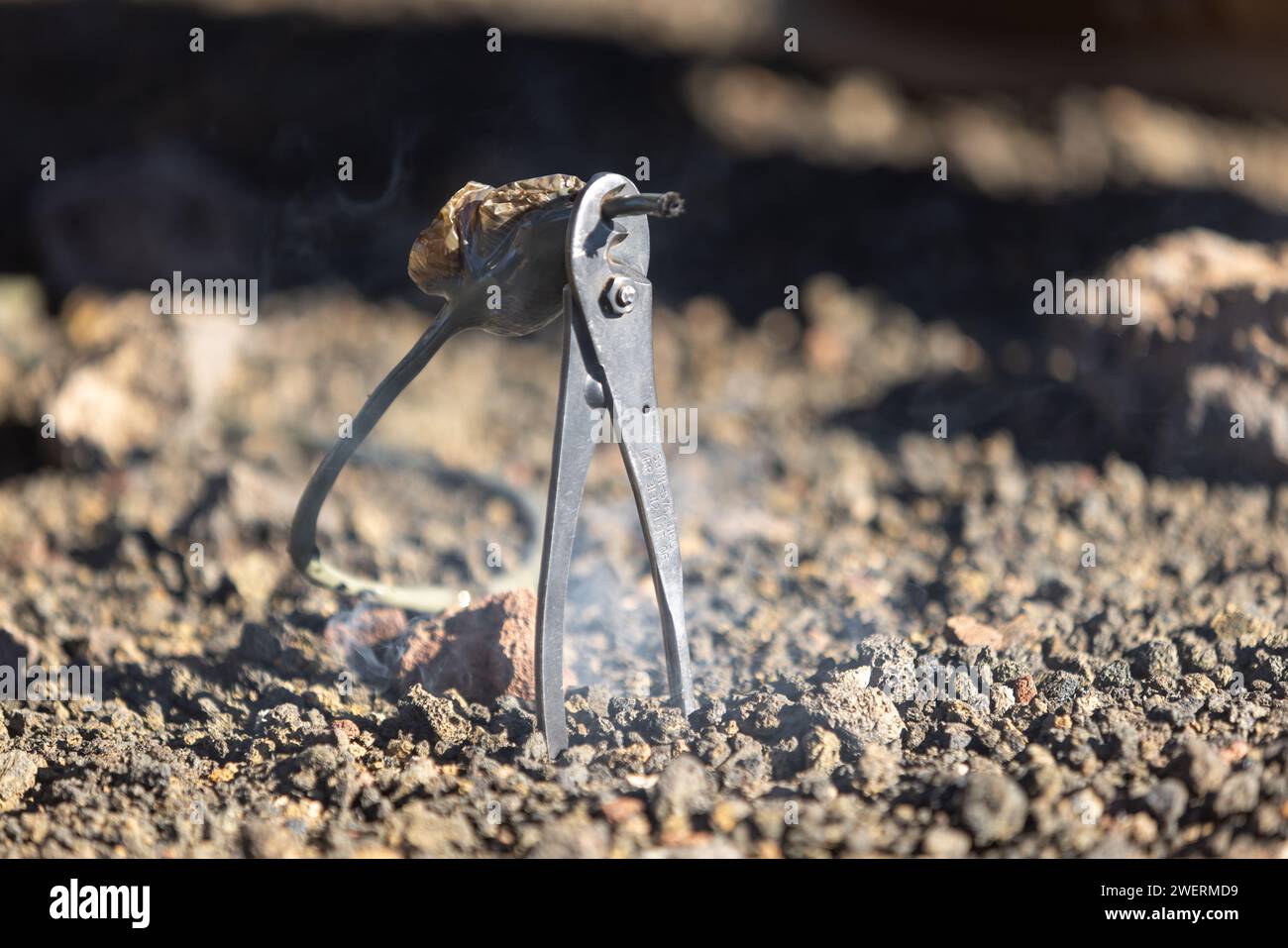 A time fuse is set off during exercise Bougainville III at Pohakuloa ...