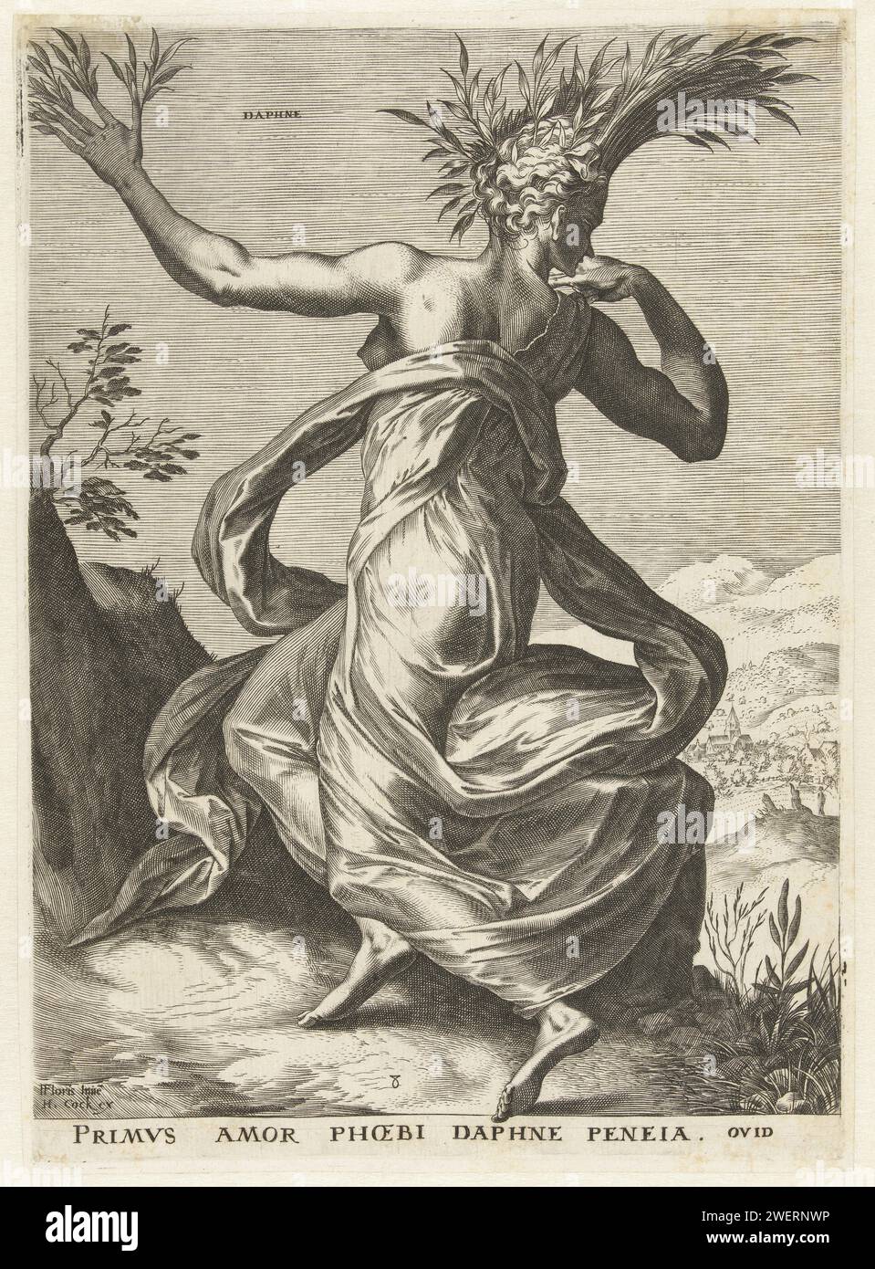 Daphne, Cornelis Cort, after Frans Floris (I), 1564 print Daphne turns ...