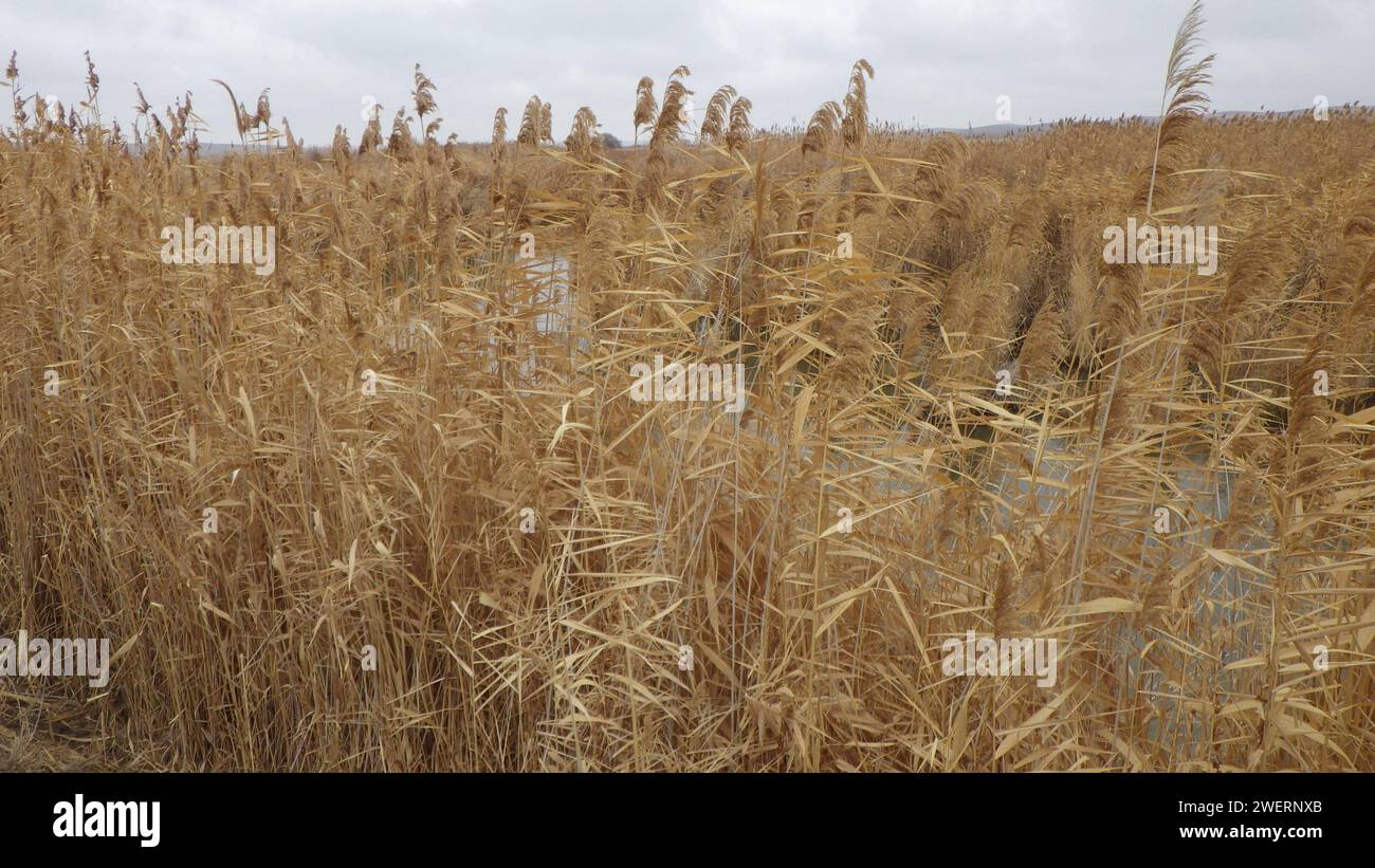 water shortage is a common occurrence at this times water shortage in ...