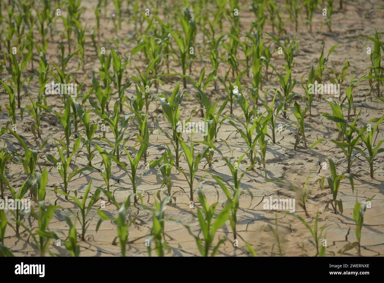 water shortage is a common occurrence at this times water shortage in ...