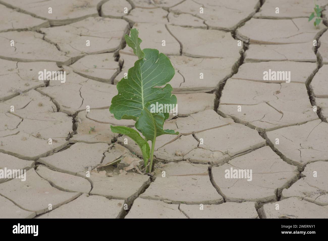 water shortage is a common occurrence at this times water shortage in ...