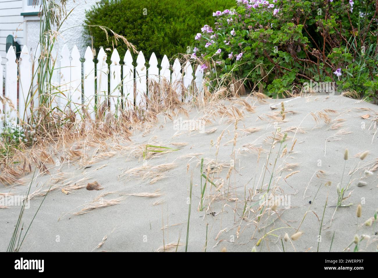 Sand built up against front fence, near beach at Seatoun, Wellington ...