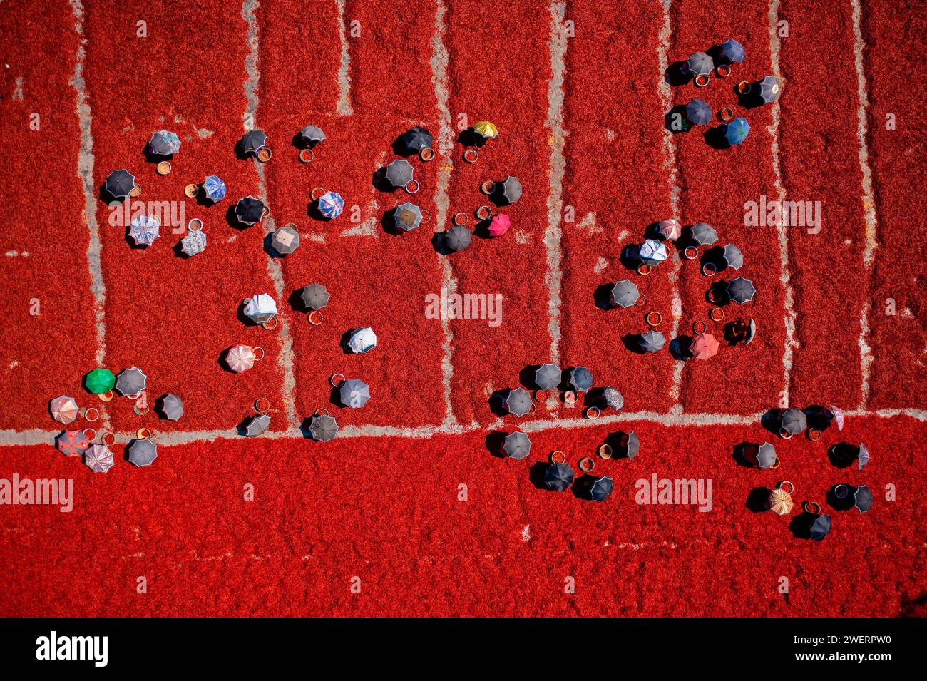 Chilli pickers hi-res stock photography and images - Alamy