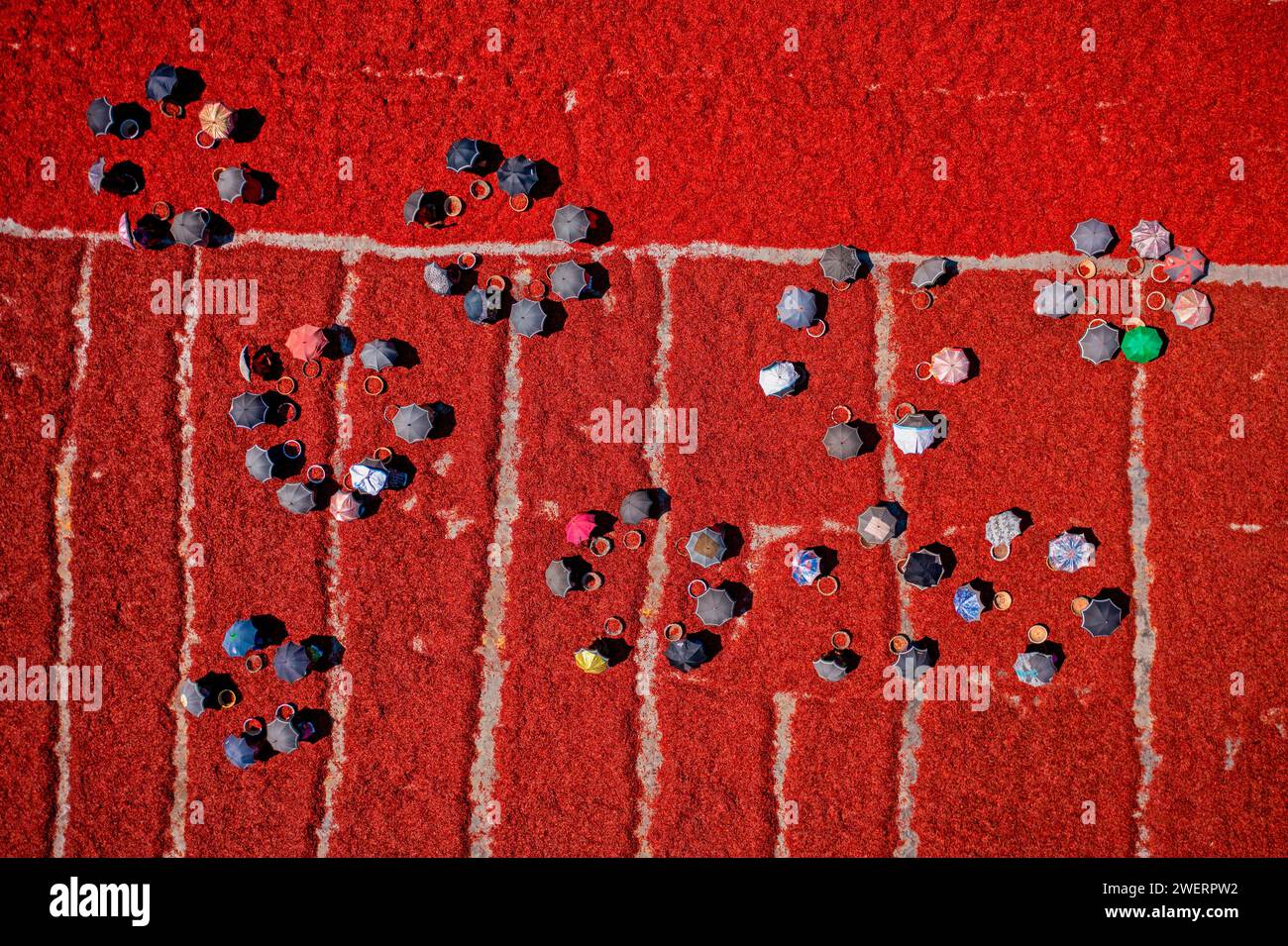 Chilli pickers hi-res stock photography and images - Alamy