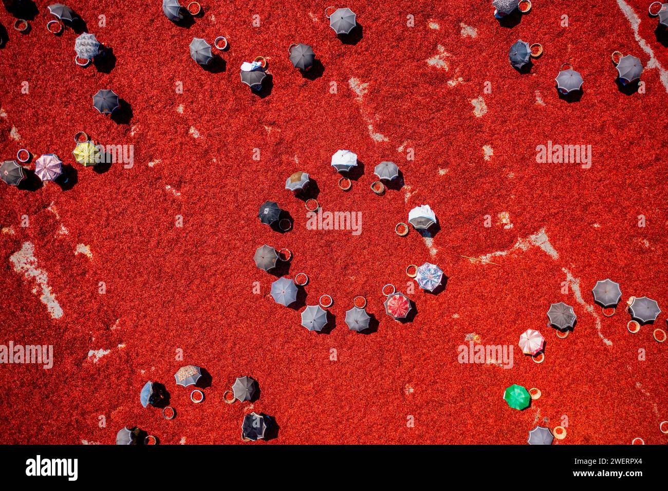 Chilli pickers hi-res stock photography and images - Alamy