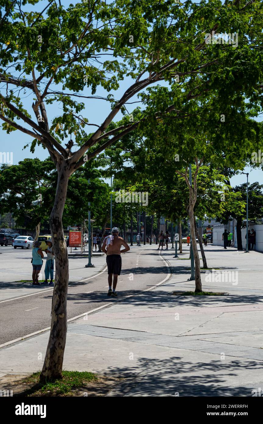 An isolated bike lane running between green vegetation trees on the ...