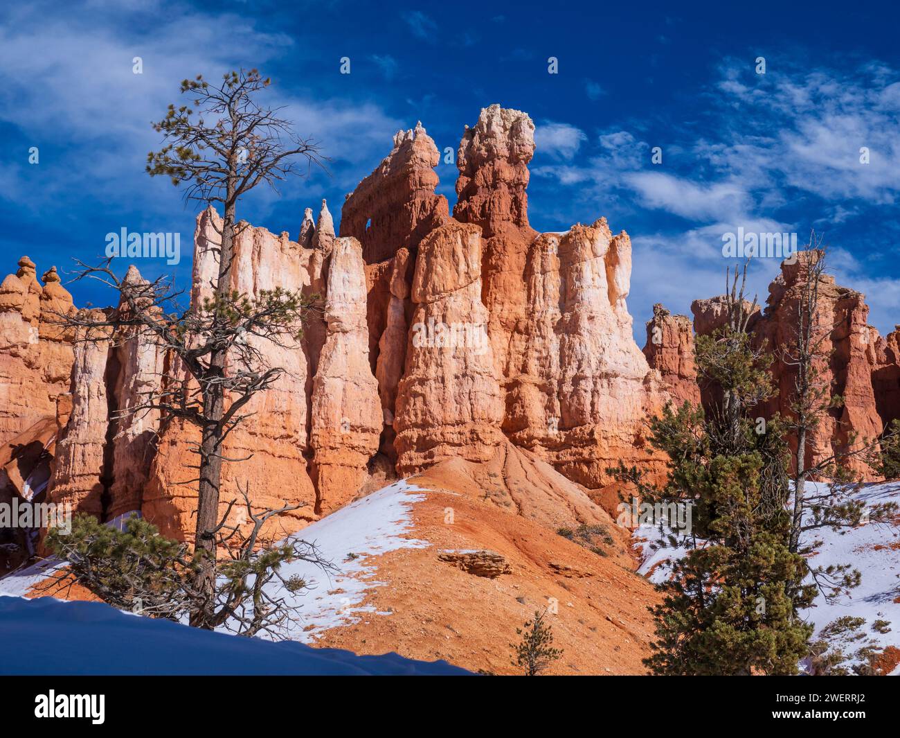 Bryce Amphitheater from the Queen's Garden Trail, winter, Bryce Canyon ...