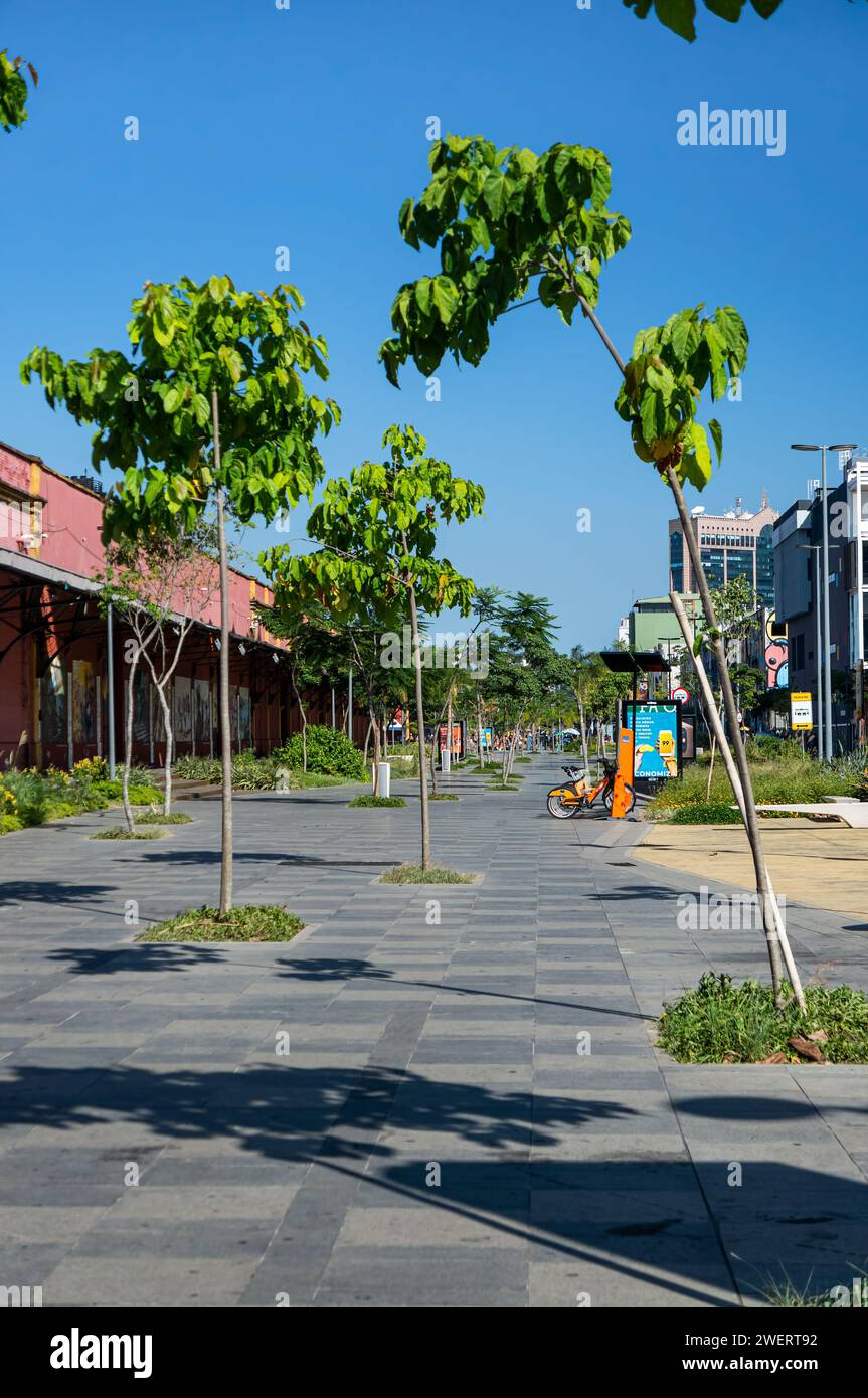 The wide promenade of Porto Maravilha port full of green vegetation ...