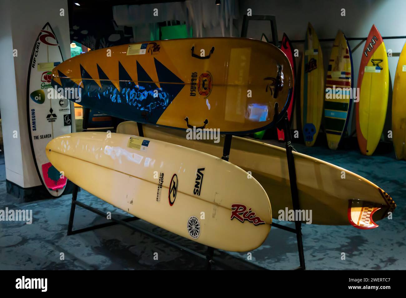 A collection of colorful surfboards on a rack, part of Rico Surf museum ...
