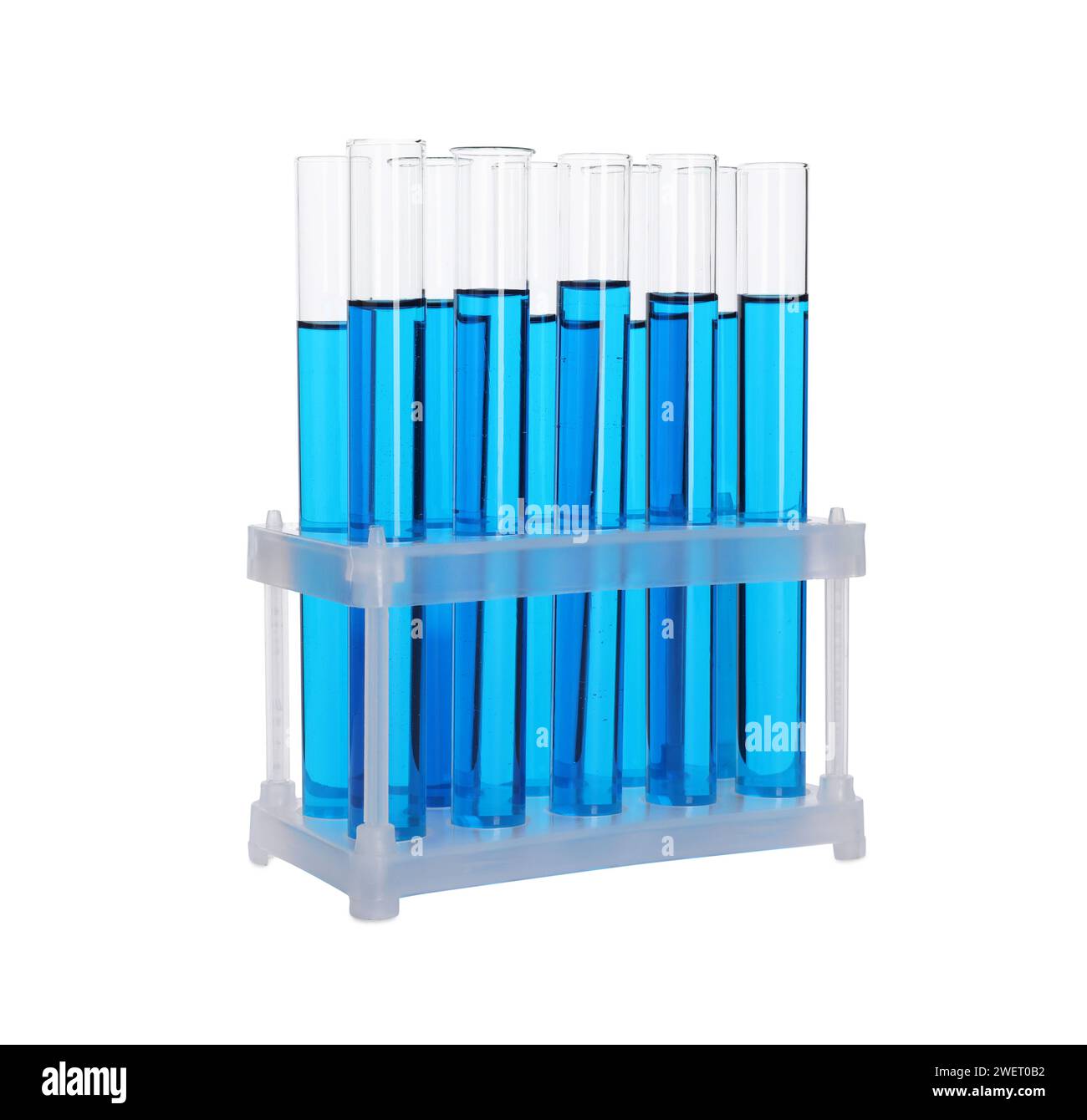 Many test tubes with light blue liquid in stand isolated on white Stock ...
