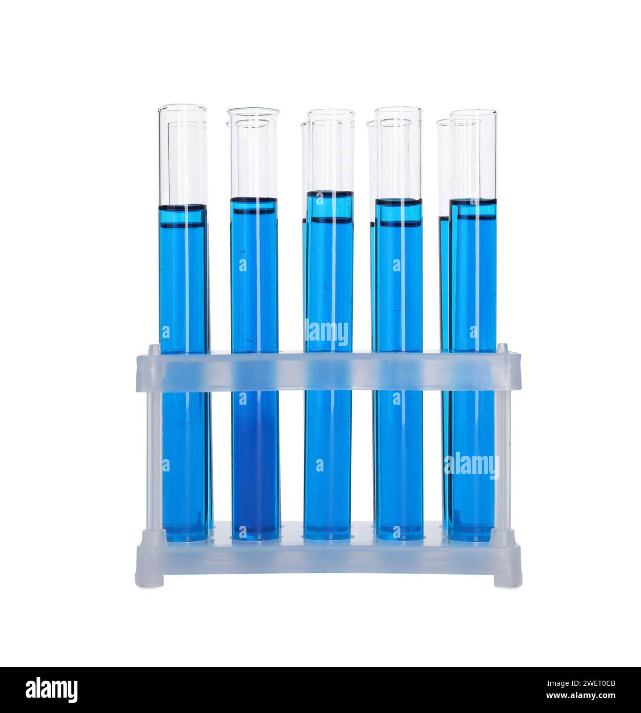 Many test tubes with light blue liquid in stand isolated on white Stock ...