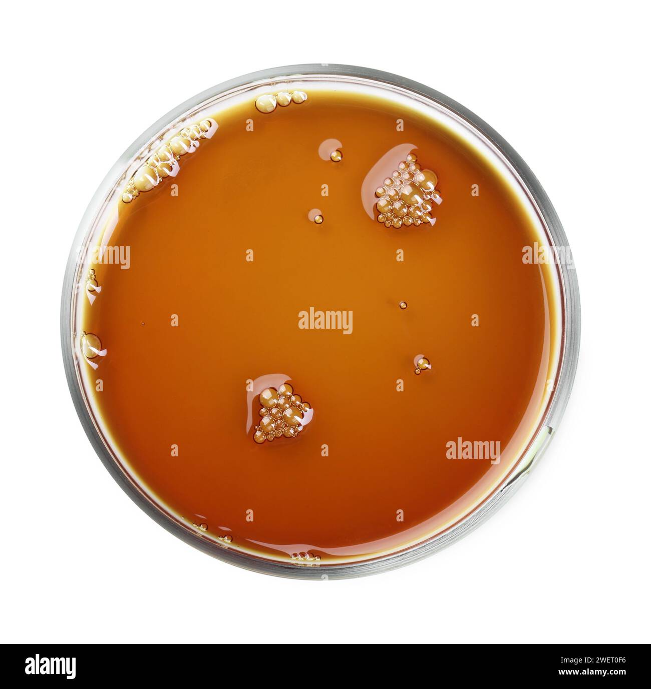 Petri dish with color liquid sample isolated on white, top view Stock ...