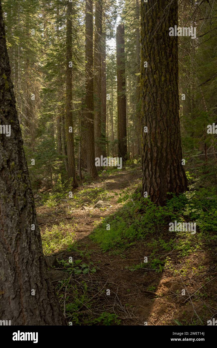 Rough trail hi-res stock photography and images - Alamy
