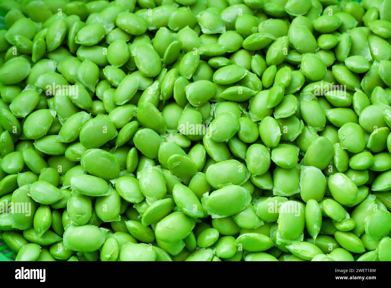 Soybean seed hi-res stock photography and images - Alamy