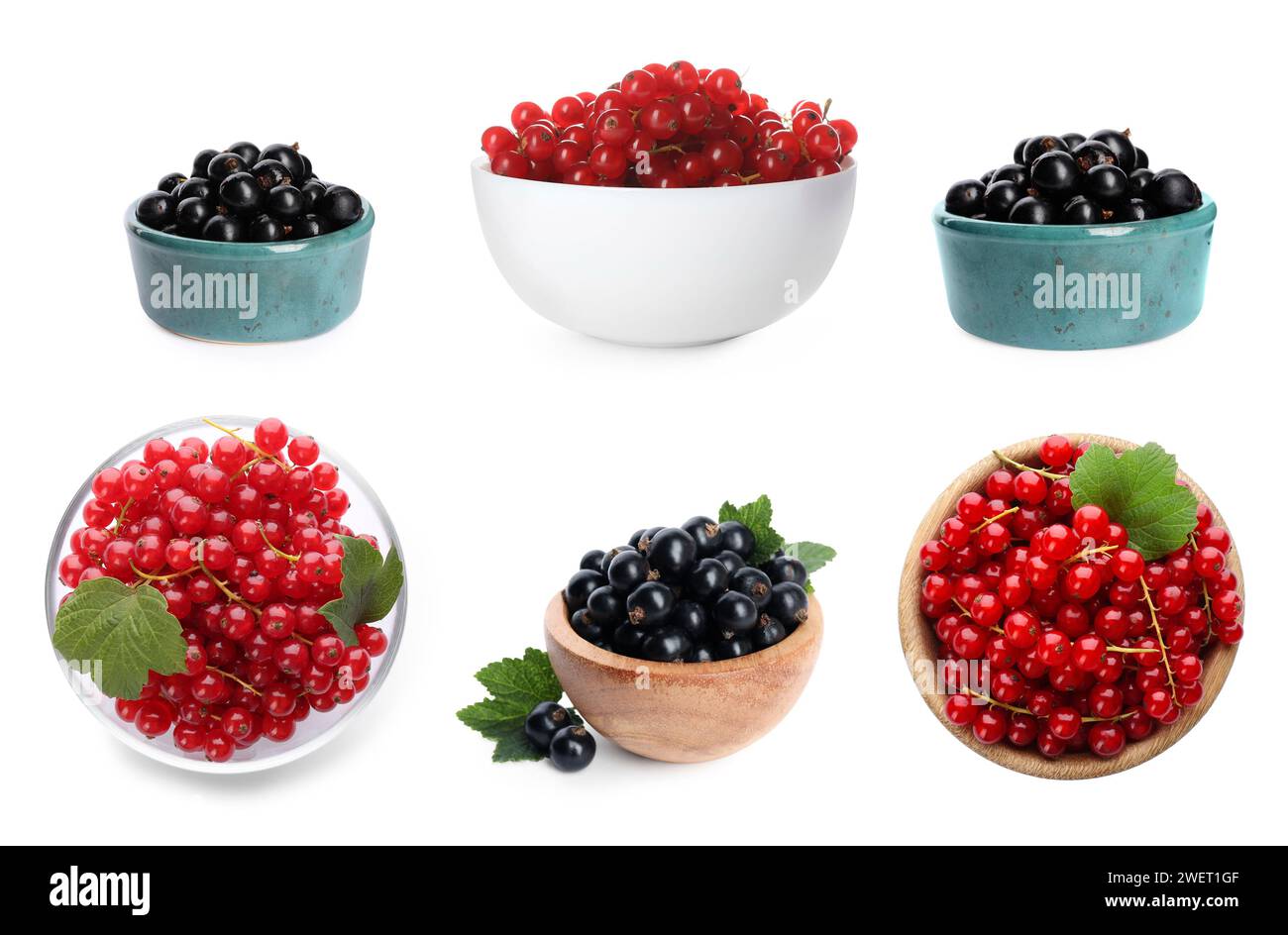 Fresh red and black currants in bowls on white background, collection ...