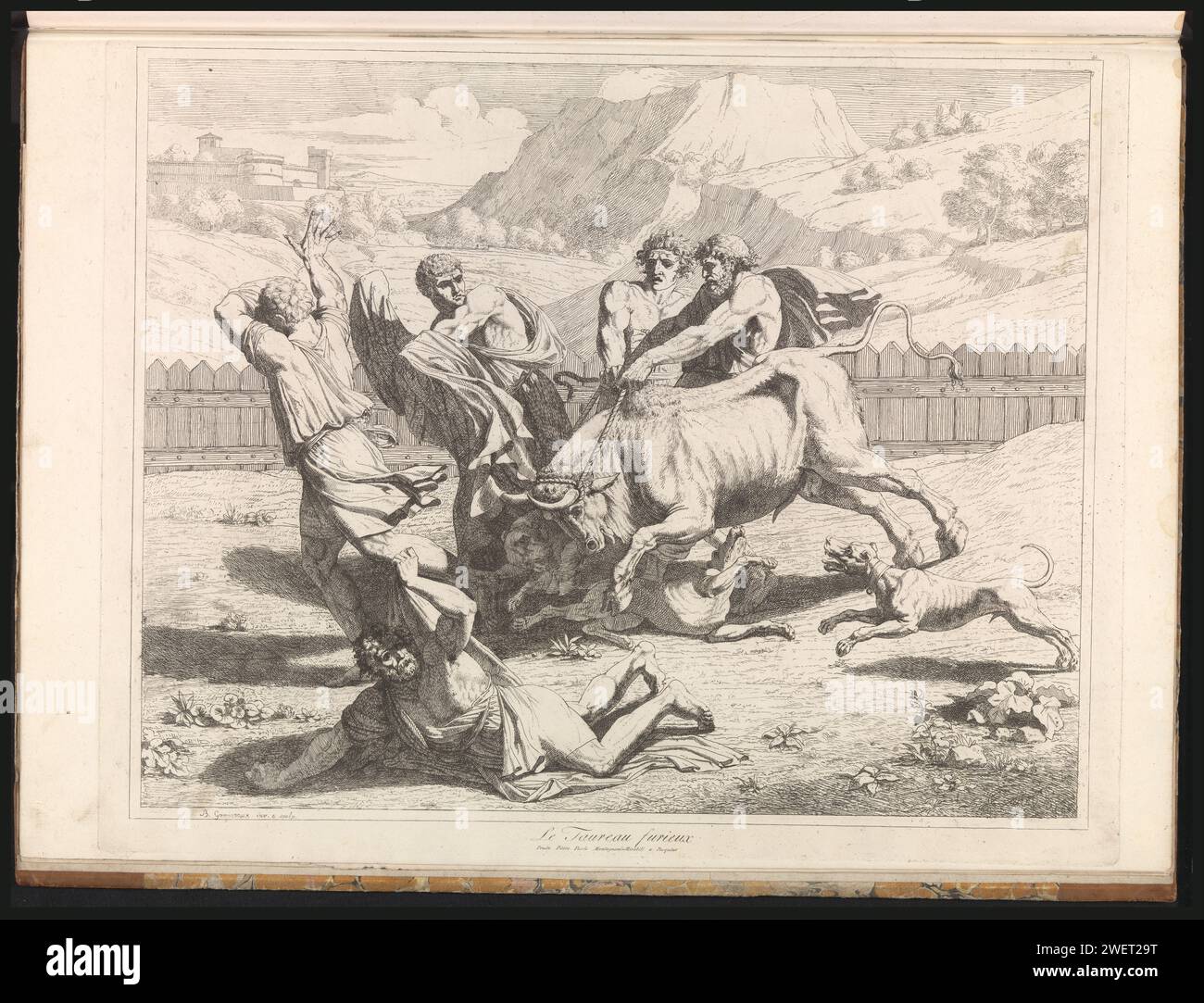 Stier design hi-res stock photography and images - Alamy