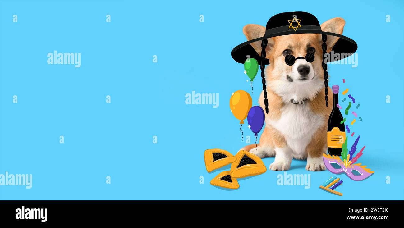 Cute Corgi dog with Jewish hat and decor on blue background with space ...