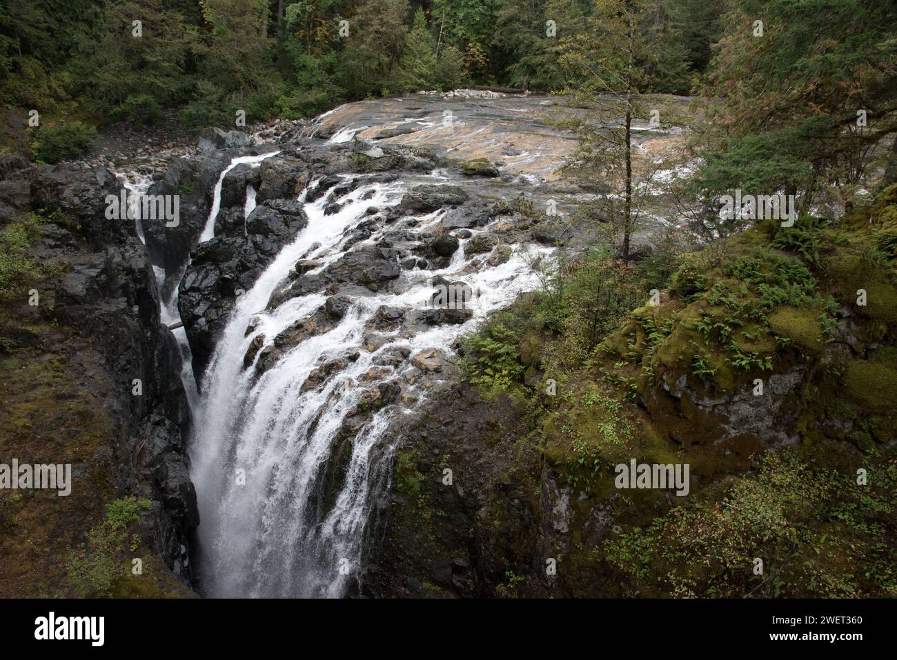 Englishman River upper falls thundering into its deep canyon in the ...