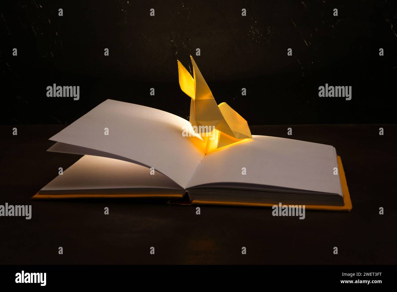 Dark library lighting hi-res stock photography and images - Alamy