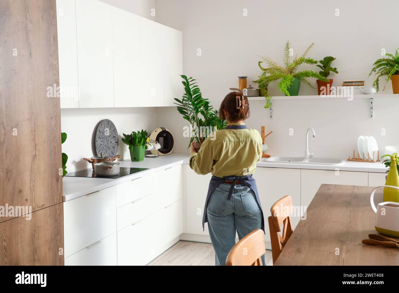 Female gardener with green plant in kitchen, back view Stock Photo - Alamy