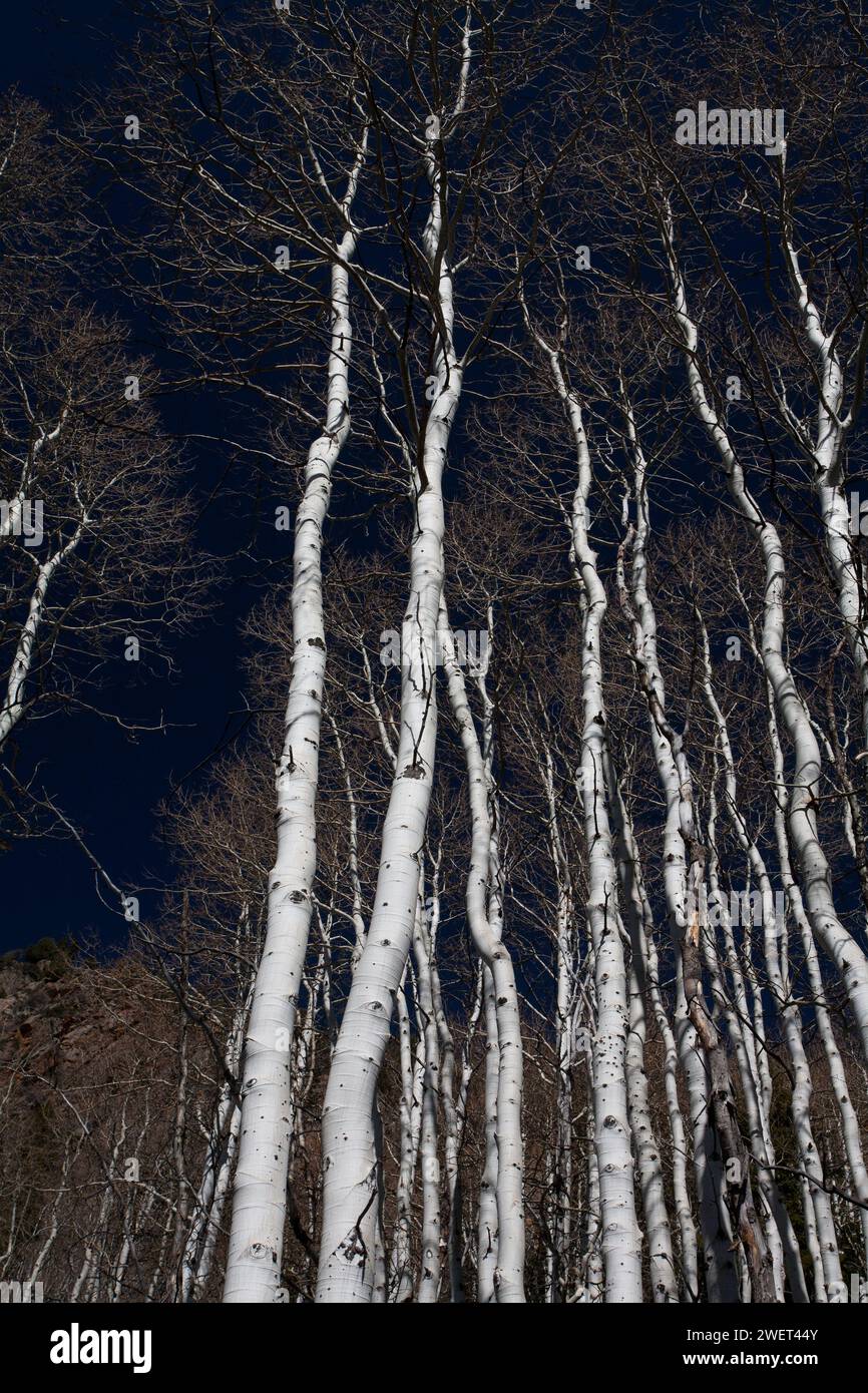Utah, Wasatch Mountain Range Stock Photo - Alamy