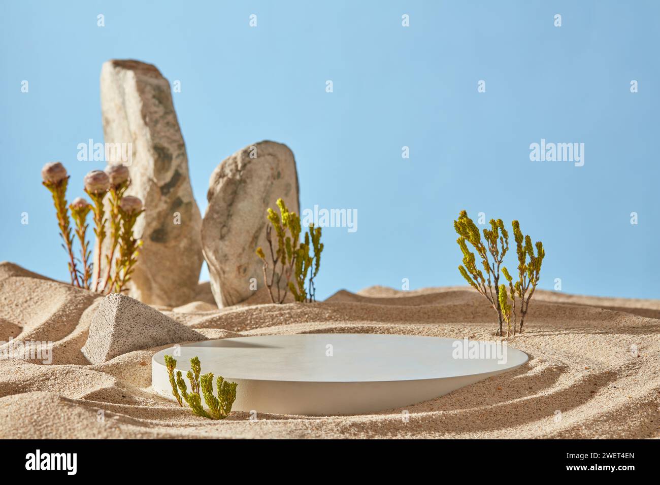 White circular podium on white sand with small green trees and rocks on ...