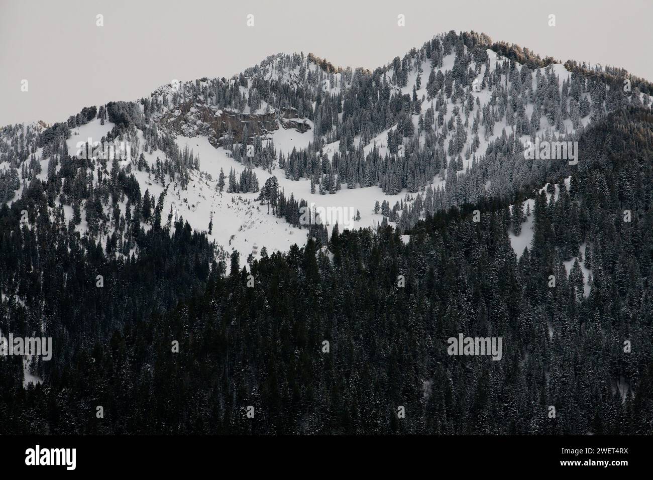Utah, Wasatch Mountain Range Stock Photo - Alamy