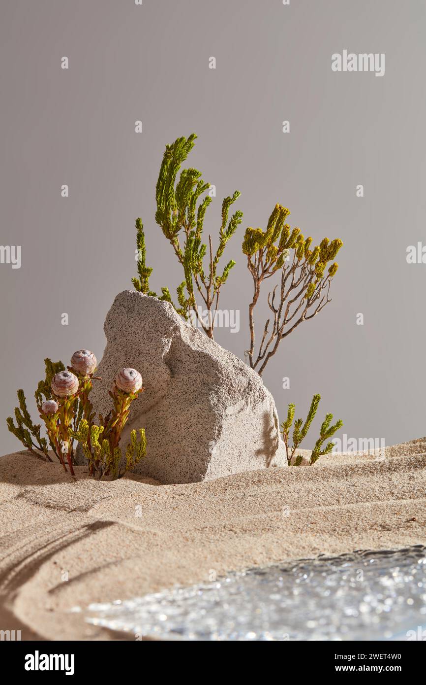 Sand hillock hi-res stock photography and images - Alamy