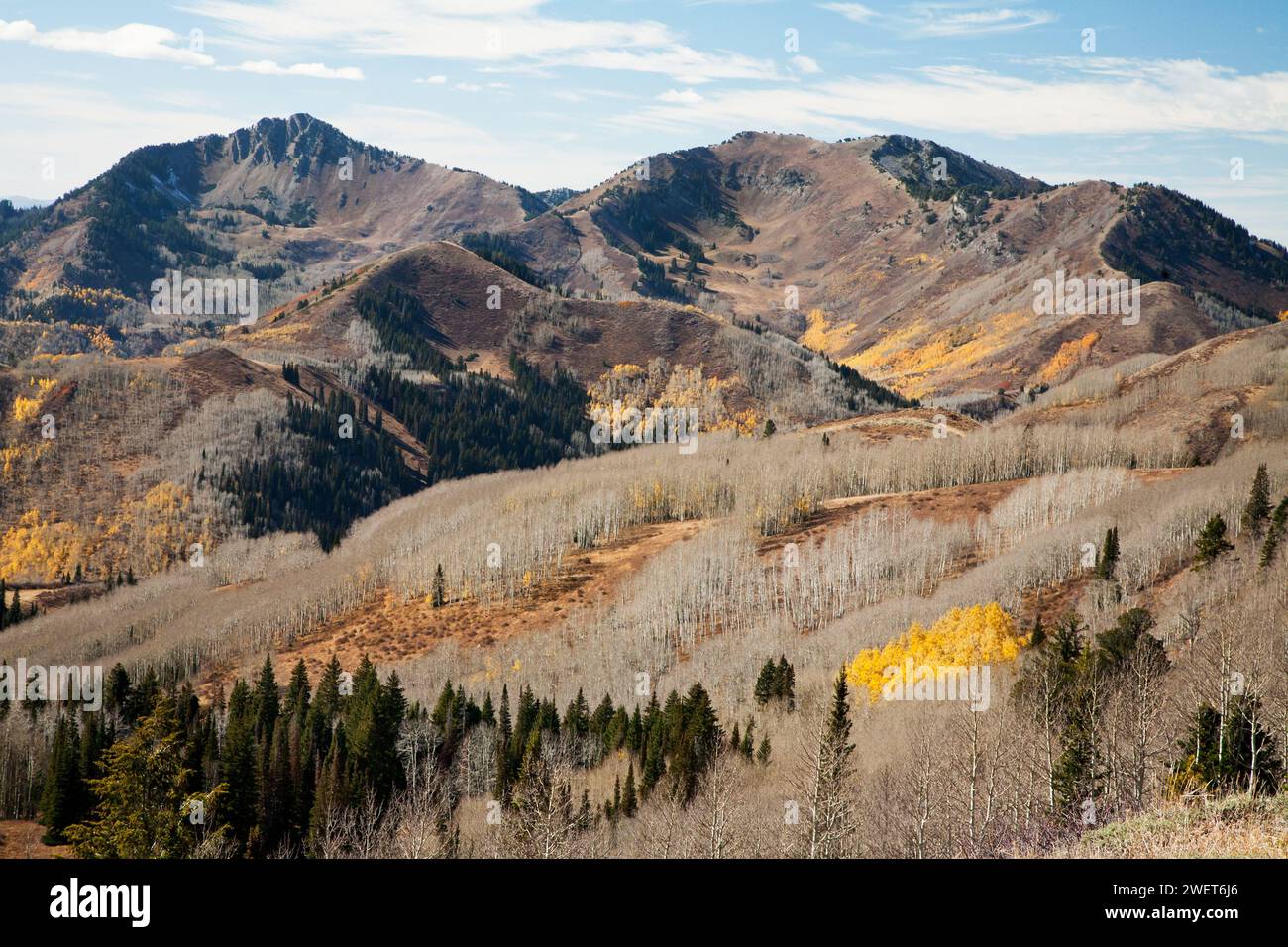 Utah, Wasatch Mountain Range Stock Photo - Alamy