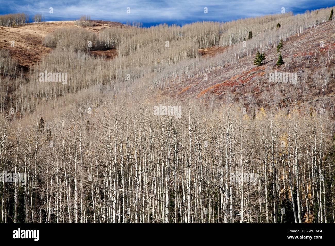 Wasatch Mountain Range near Salt Lake City Stock Photo - Alamy