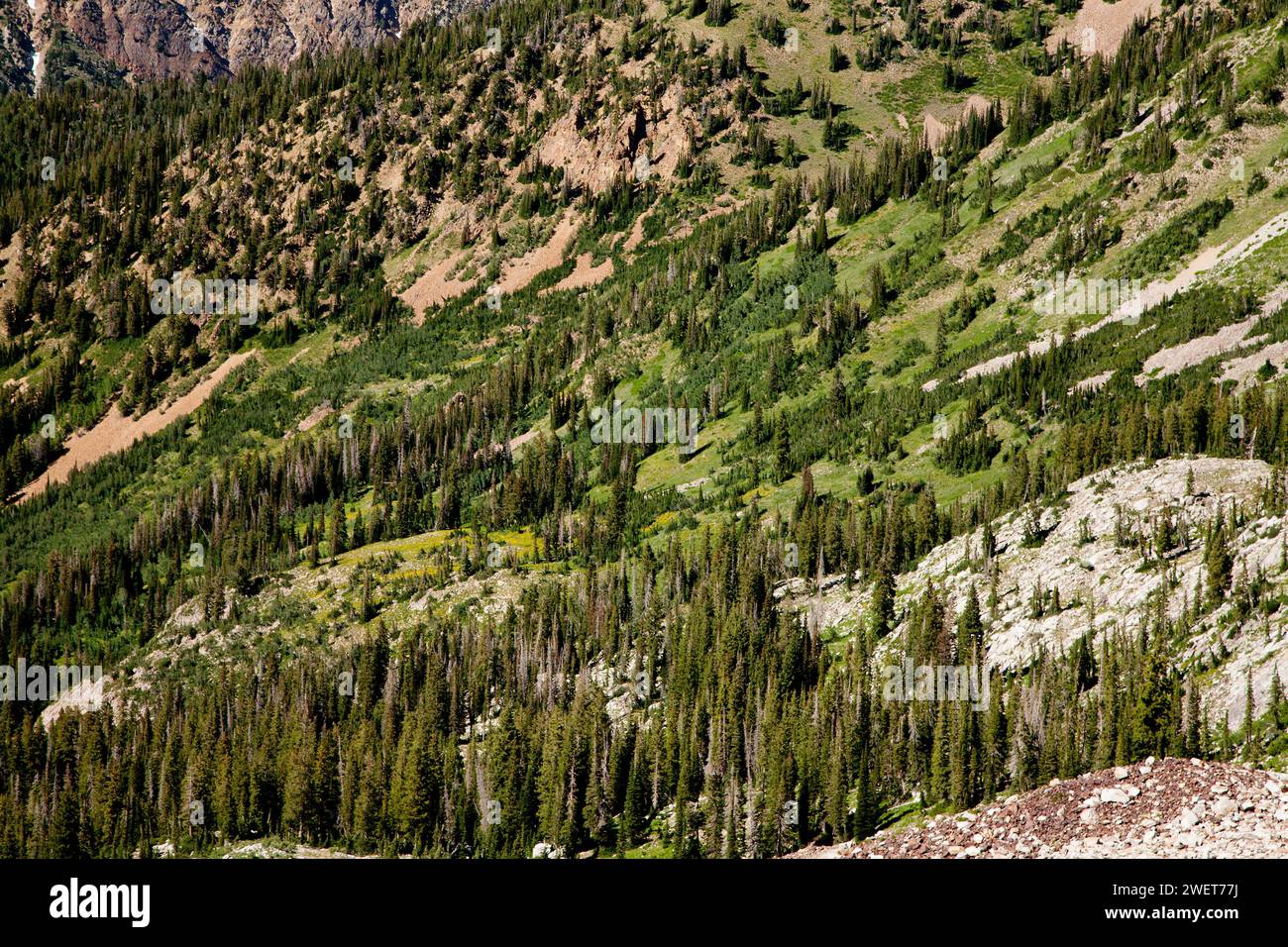 Utah, Wasatch Mountain Range Stock Photo - Alamy