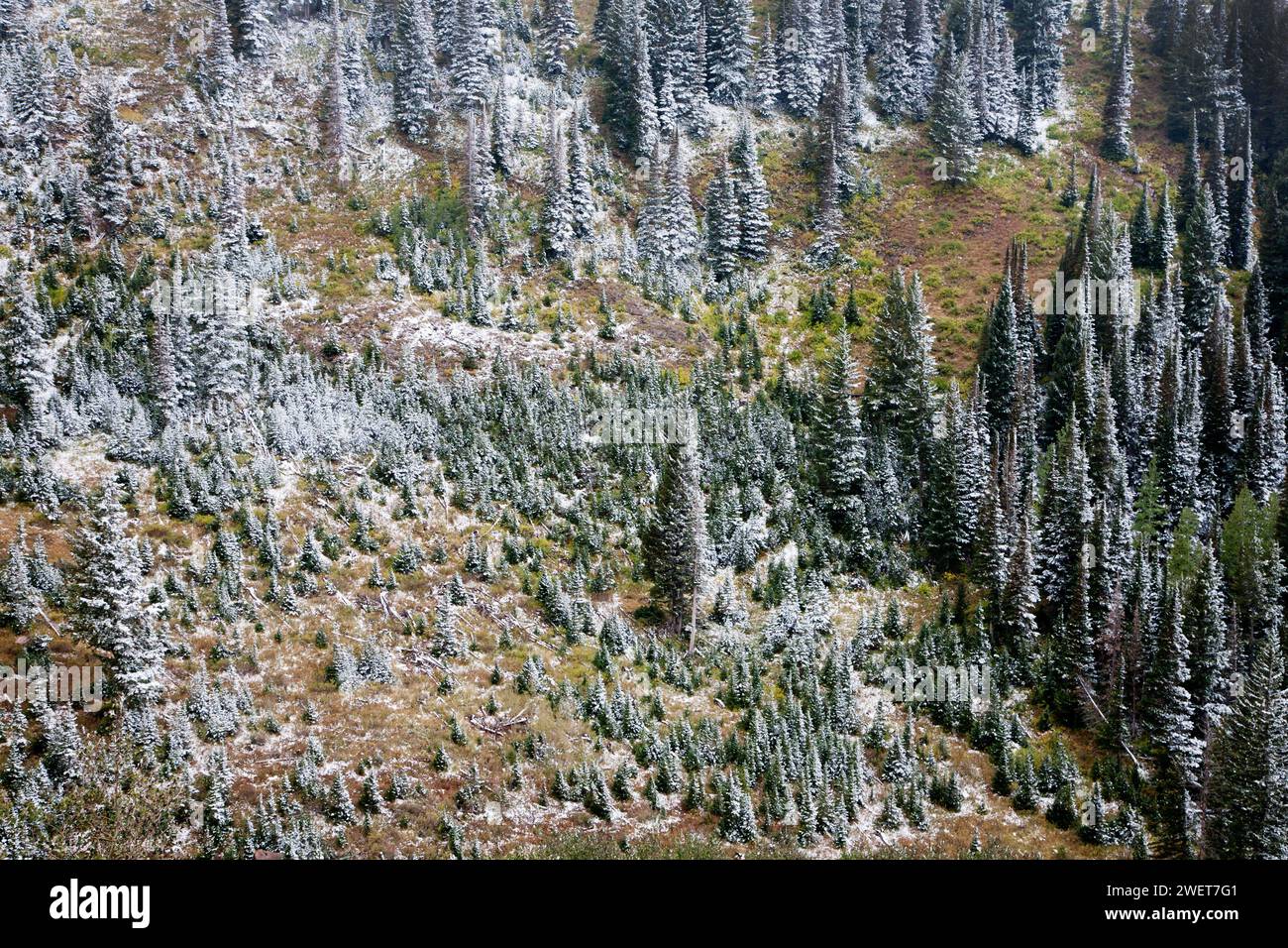 Wasatch range hi-res stock photography and images - Alamy