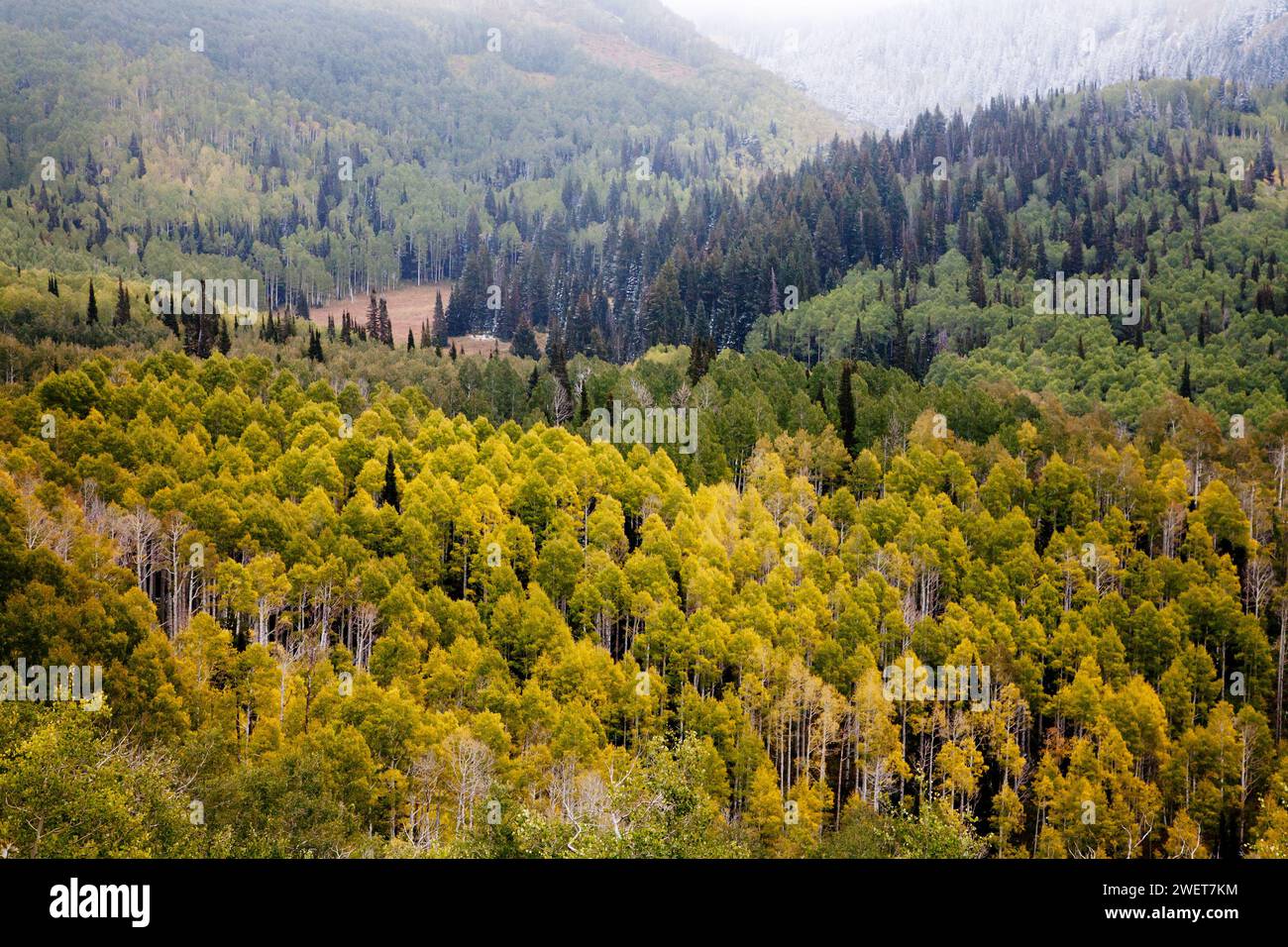 Usa utah wasatch mountain hi-res stock photography and images - Alamy