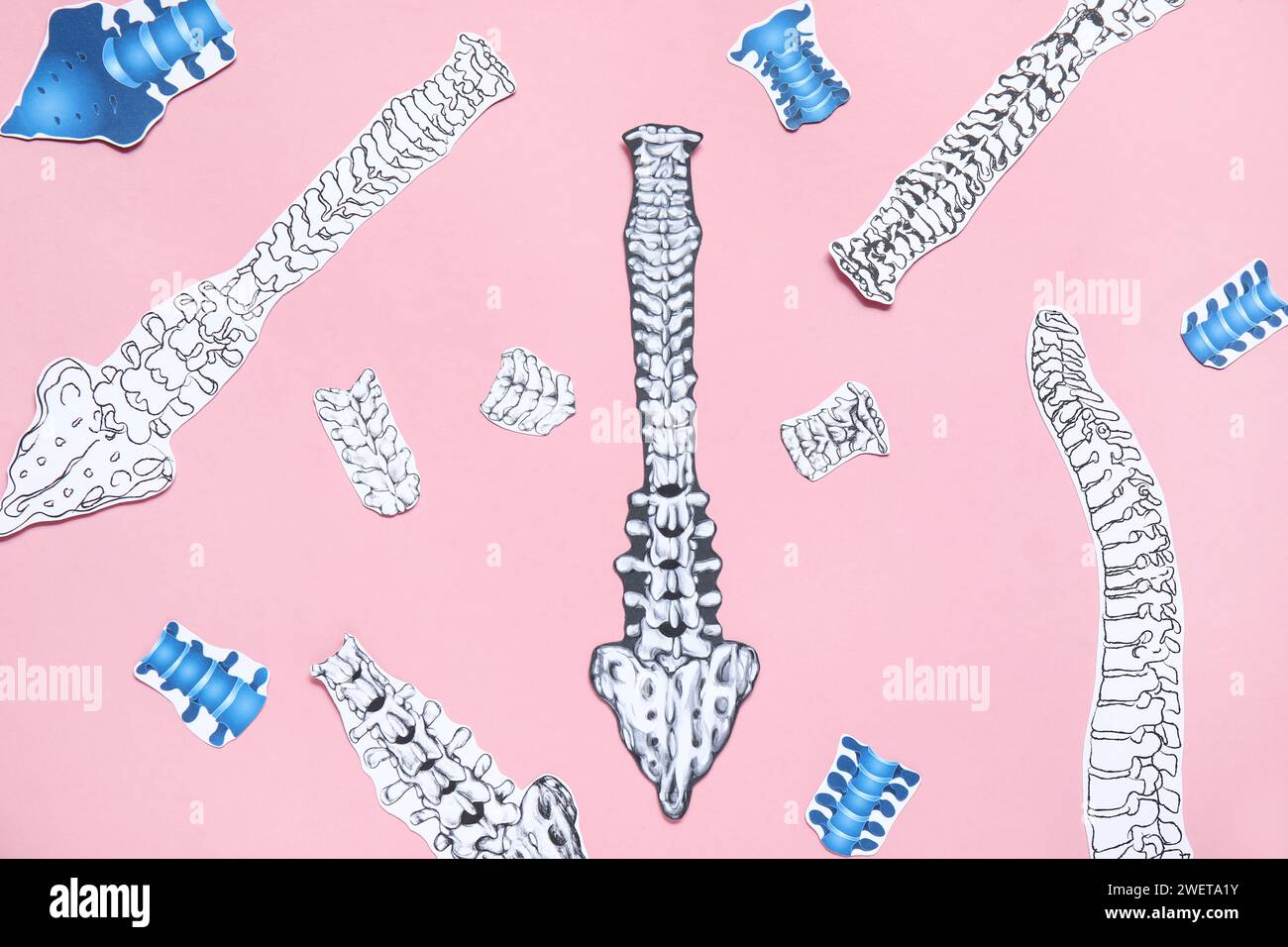 Lumbar spines hi-res stock photography and images - Alamy