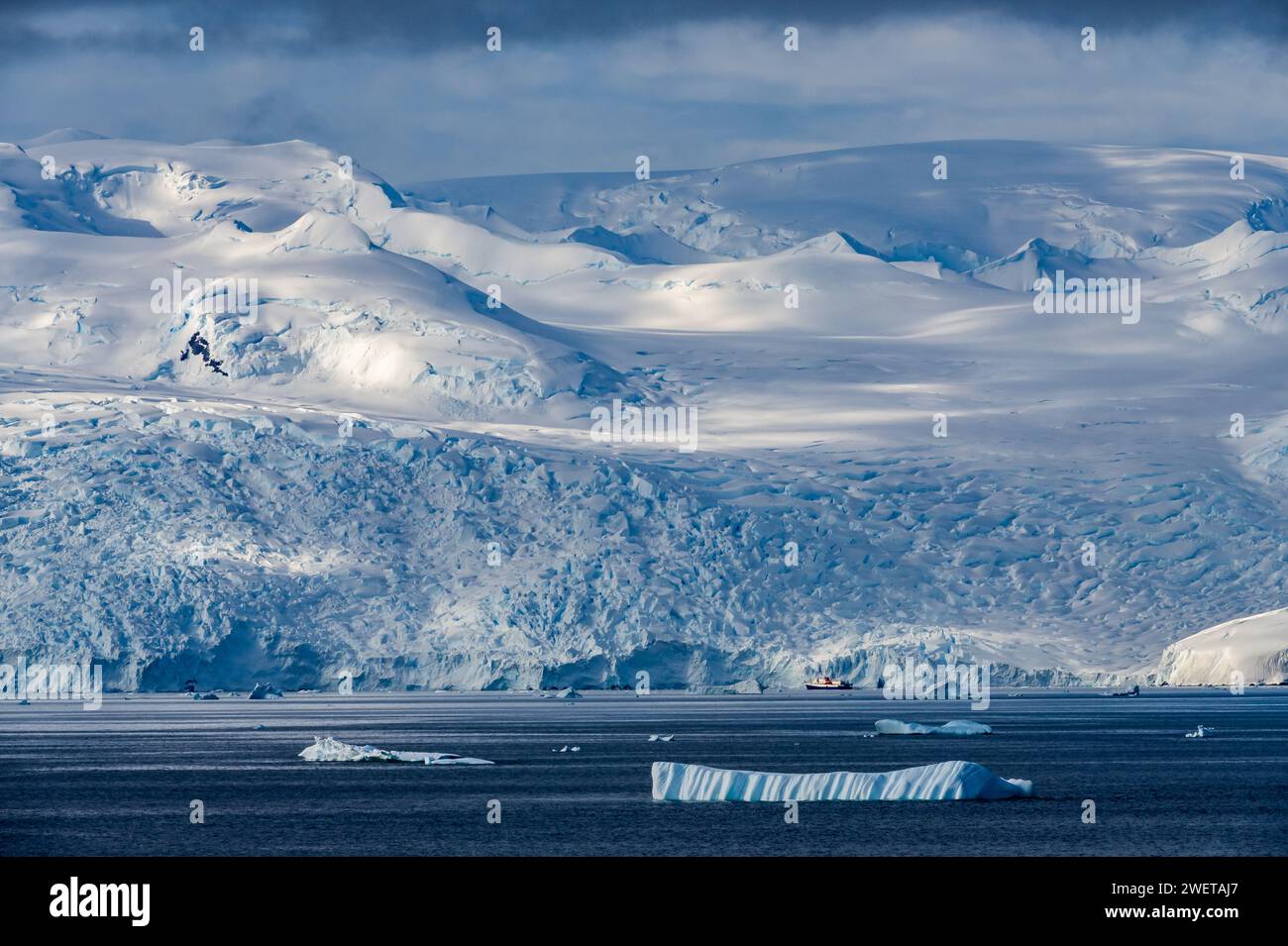A cruise ship dwarfed by giant glacier near the Antarctic Peninsula ...