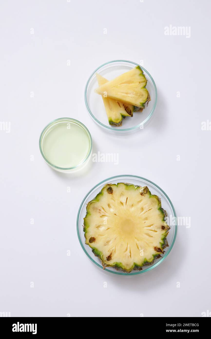 Fresh pineapple sliced, triangular pieces and essence in petri dishes ...