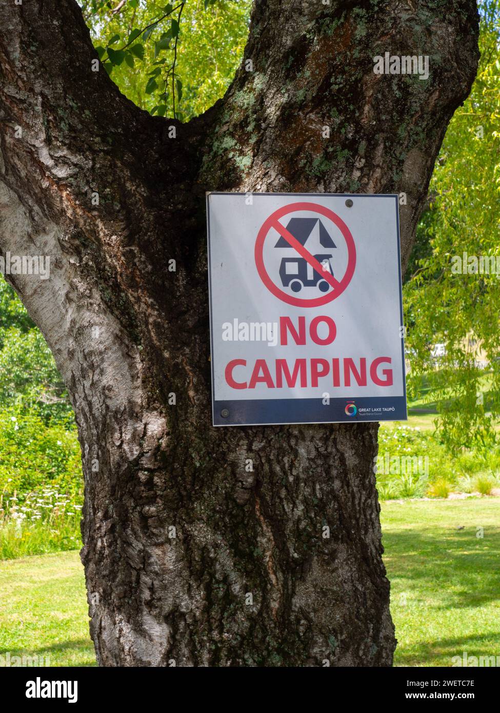 No Camping Sign Hanging On A Tree Stock Photo - Alamy