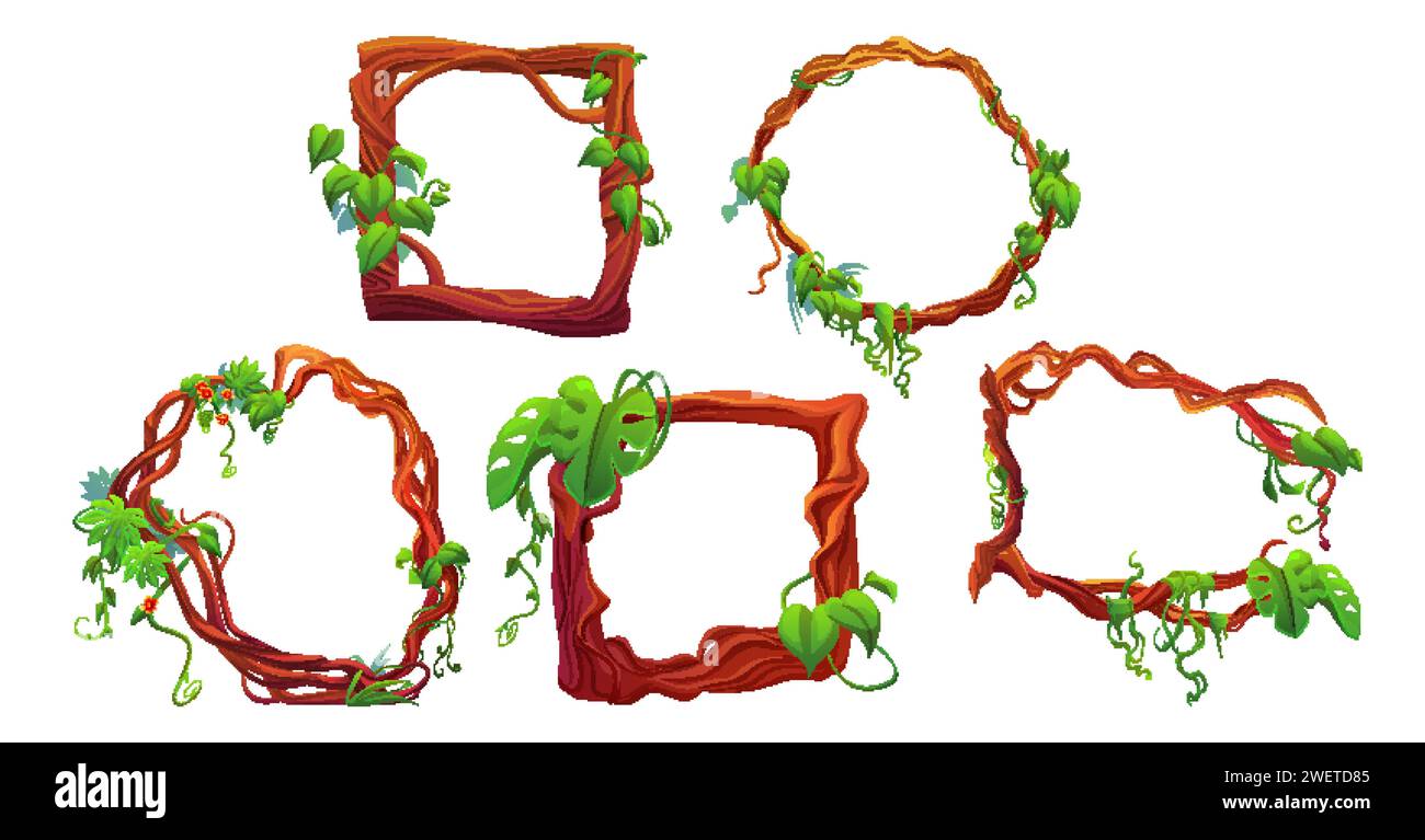 Jungle liana creeping vines with leaves and flowers formed in rectangle ...