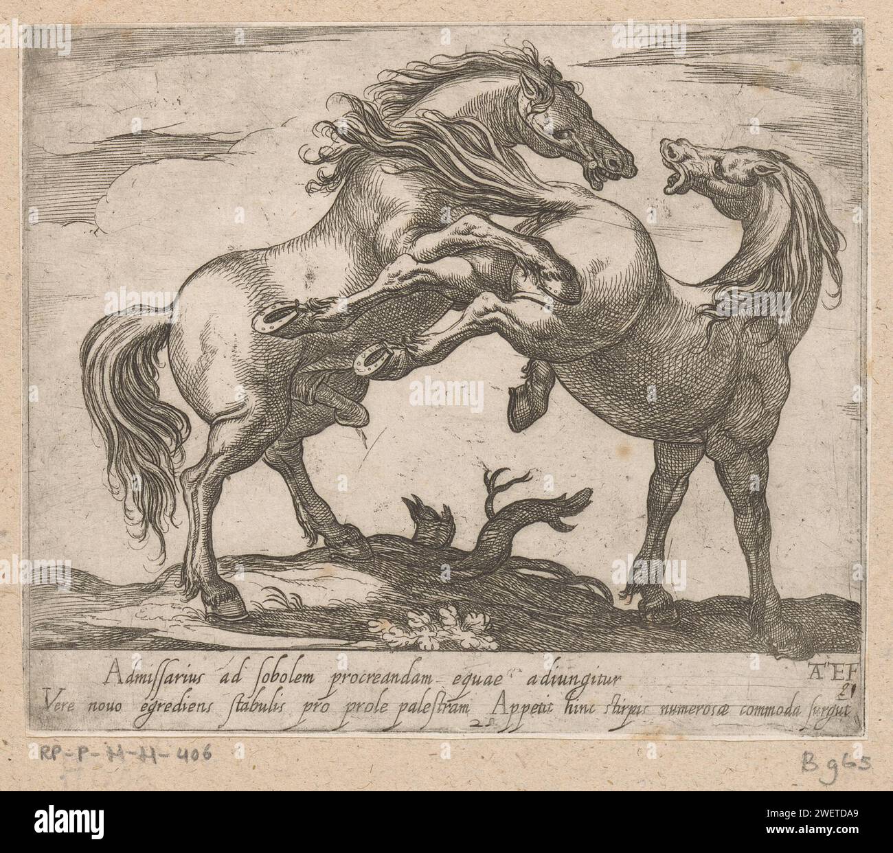 Two coupling horses, Antonio Tempesta, 1590 print Text in Latin in ...
