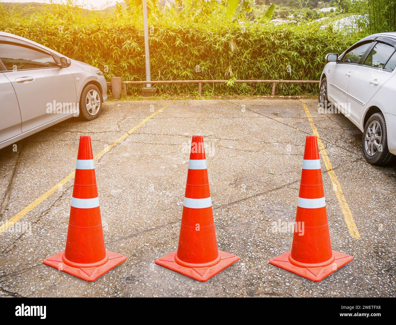Vacant parking lot with traffic cone on street in the park Stock Photo ...