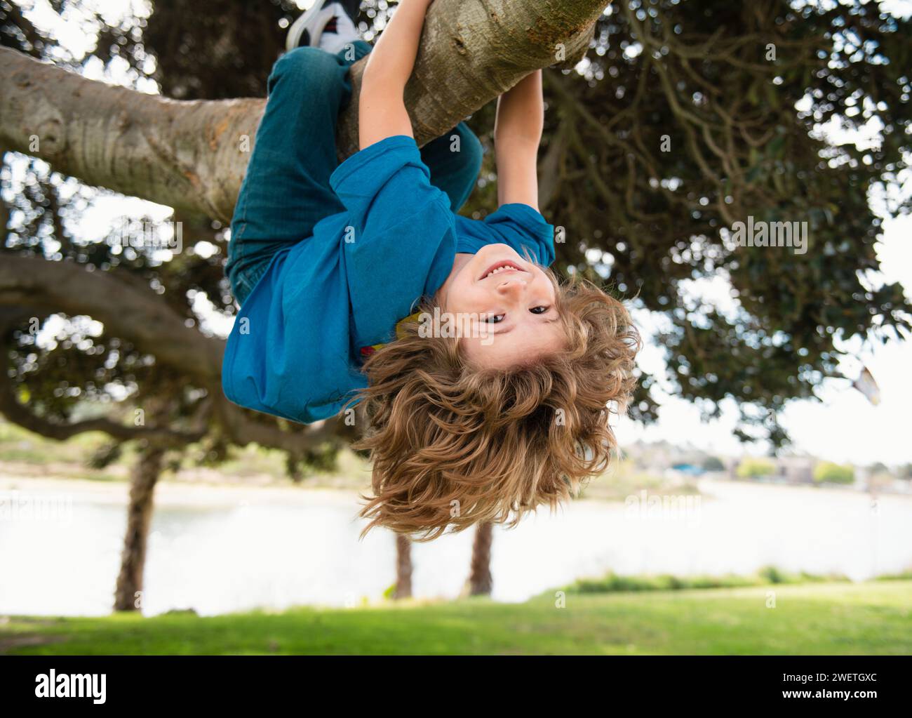 Little kid on a tree branch. Baby boy climbs a tree Stock Photo - Alamy