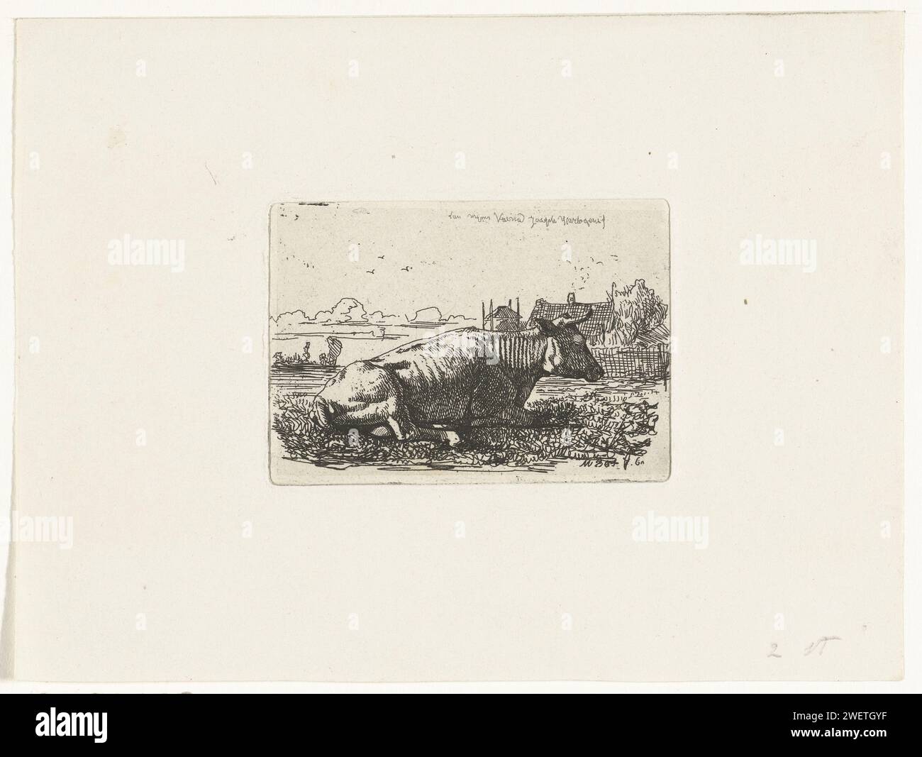 Bos maarten hi-res stock photography and images - Alamy