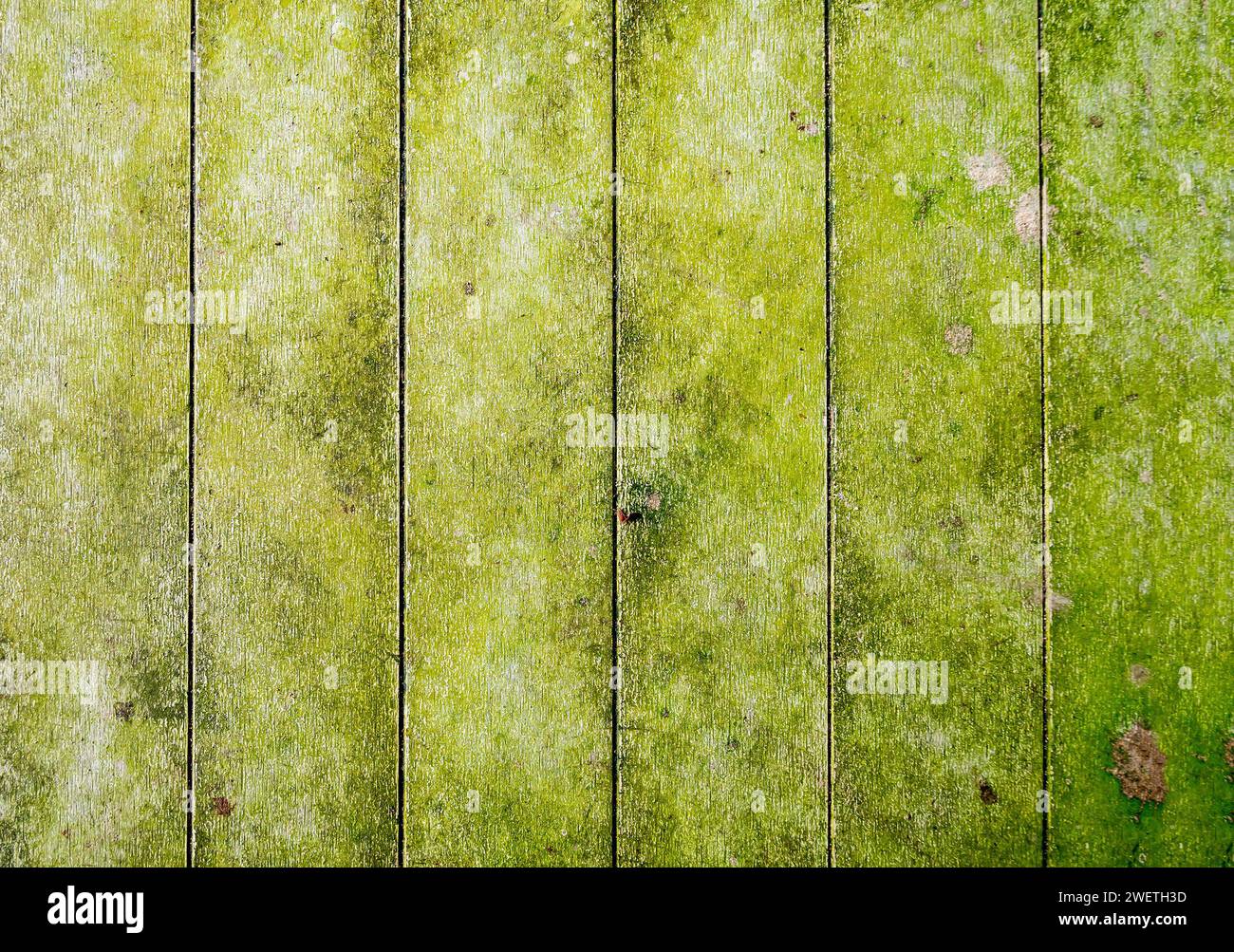 natural green wood texture background Stock Photo - Alamy