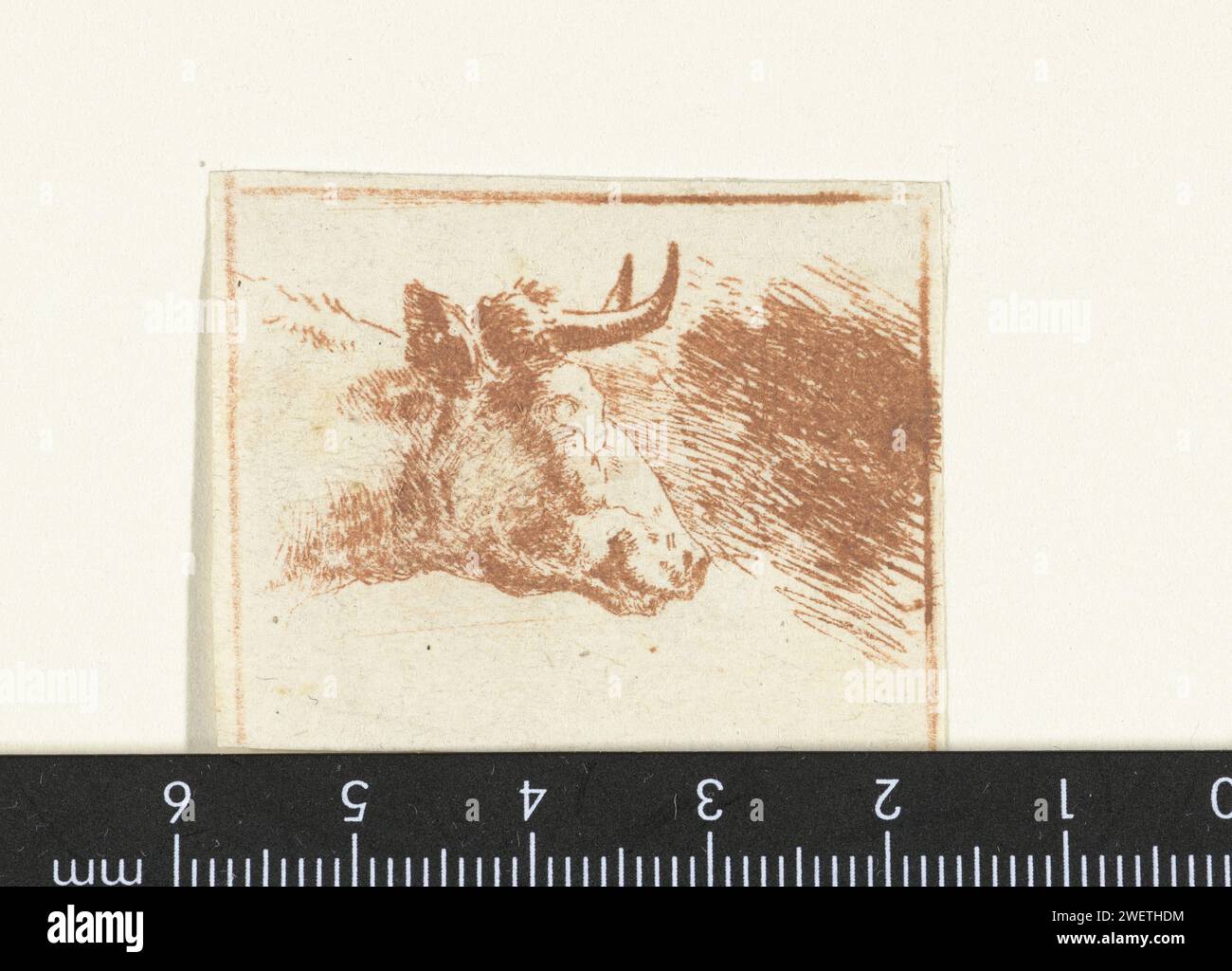 Cow head to the right, Ernst Willem Jan Bagelaar, 1798 - 1837 print ...