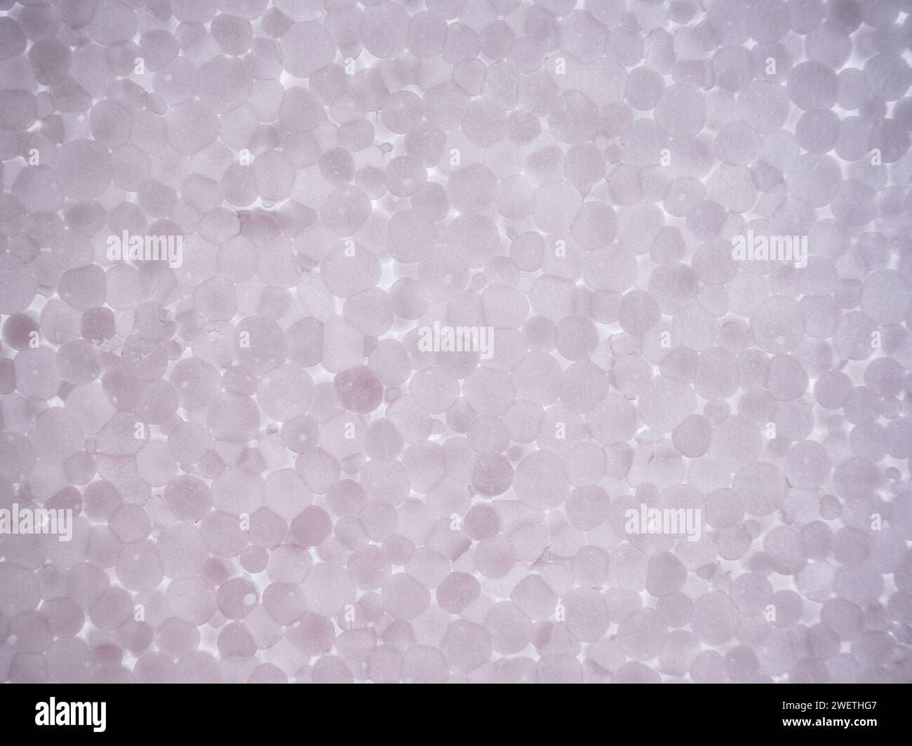 Foamed polystyrene hi-res stock photography and images - Alamy