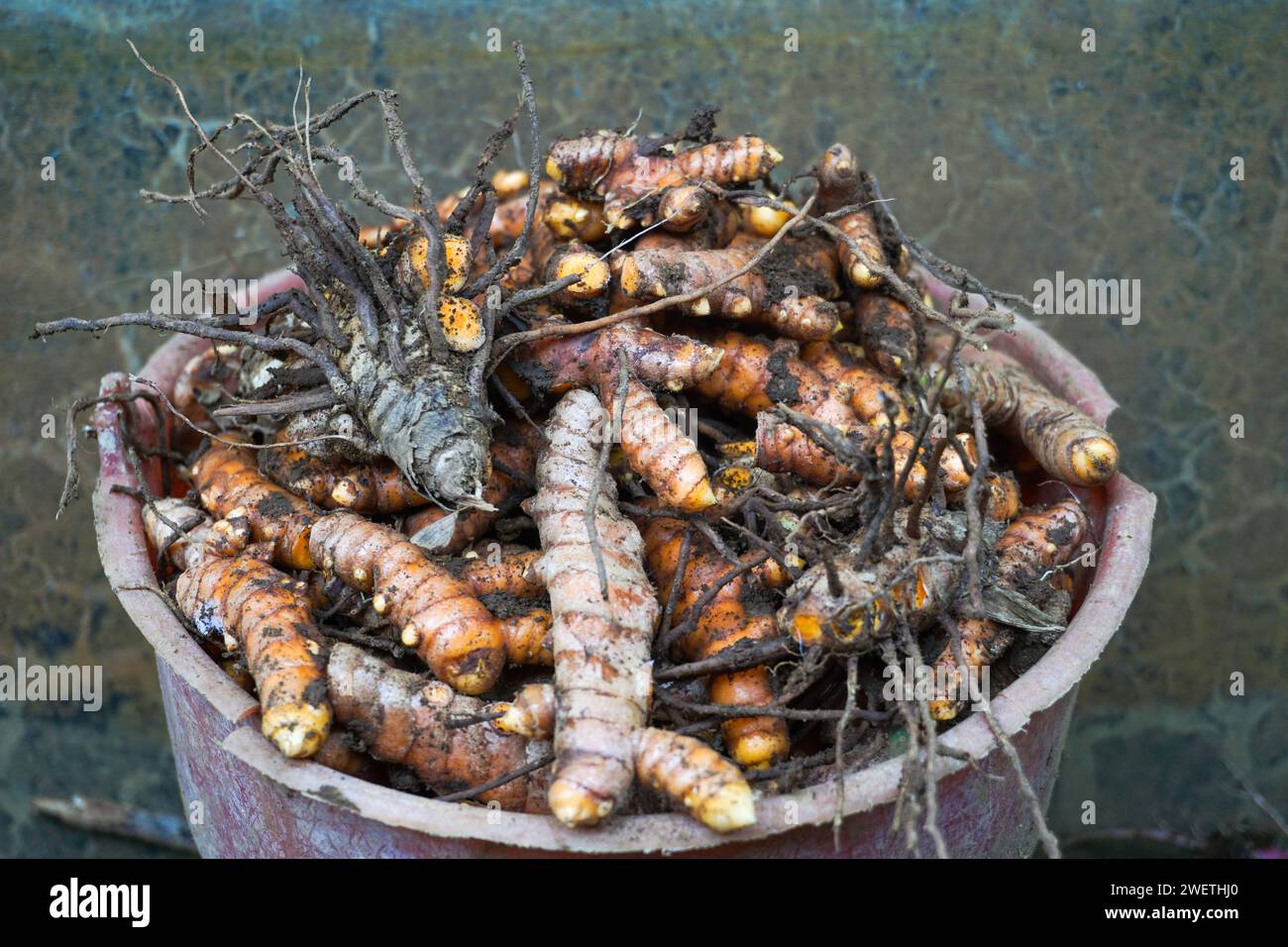 Abstract stock photos with unique objects, perfect for backgrounds ...