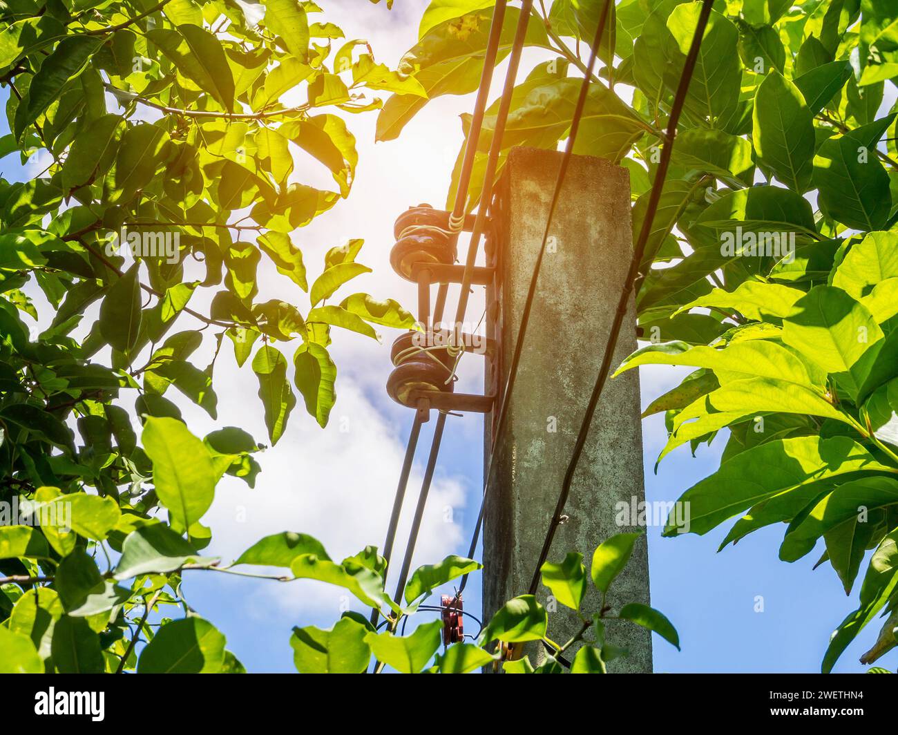 Powerline column hi-res stock photography and images - Alamy